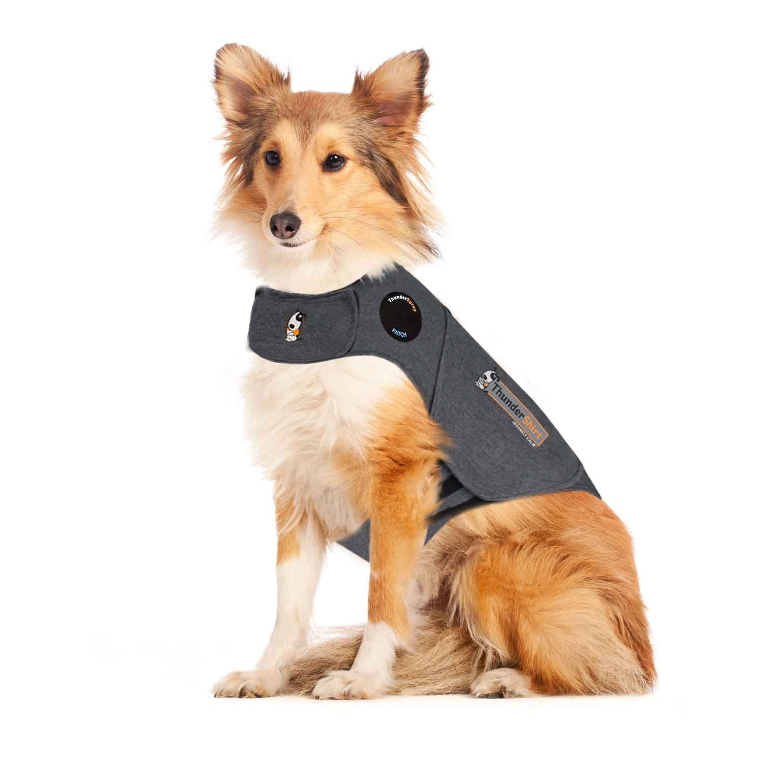 Thundershirt • Three Dogs Training