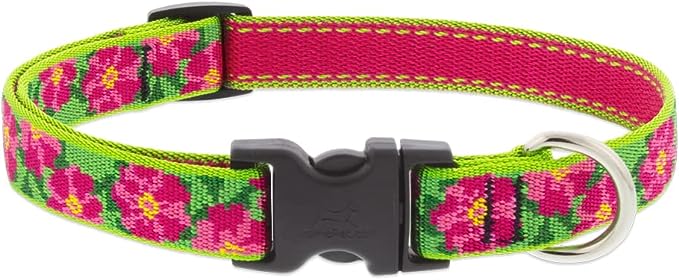 Flat Dog Collar by Lupine • Three Dogs Training